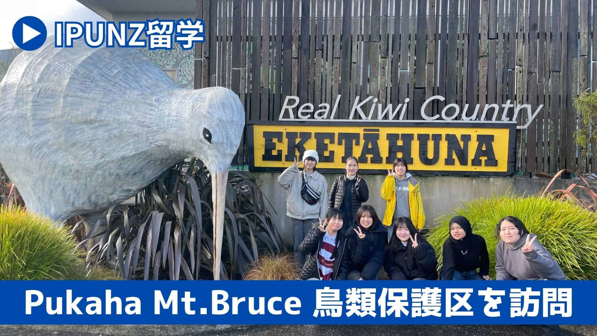 【IPUNZ留学】Pukaha Mt. Bruce 鳥類保護区を訪問しました | クラーク記念国際高等学校